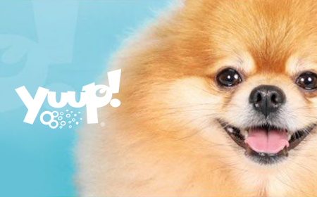 Extreme Volume Collection – Yuup! Middle East