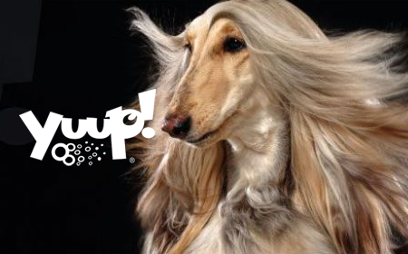 Shine – Yuup! Middle East