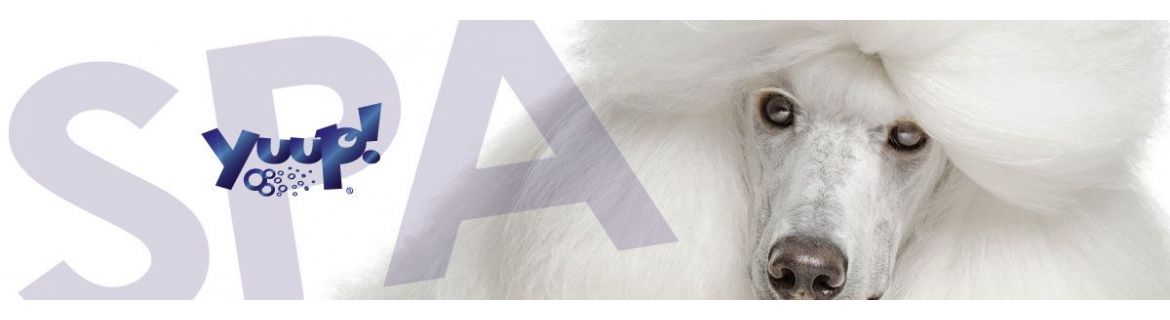 Yuup! SPA Line – Yuup! Middle East