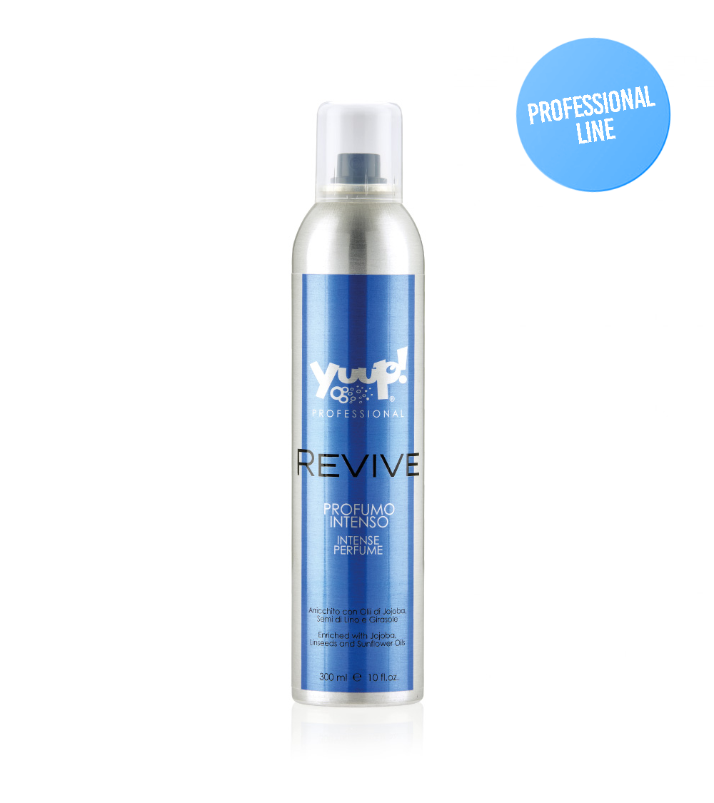 Yuup! Professional Revive Intense Perfume 300ml Consumer – Yuup! Middle ...